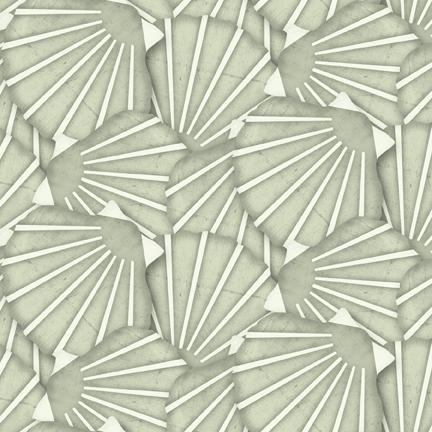 Packed Scallop Shells Green